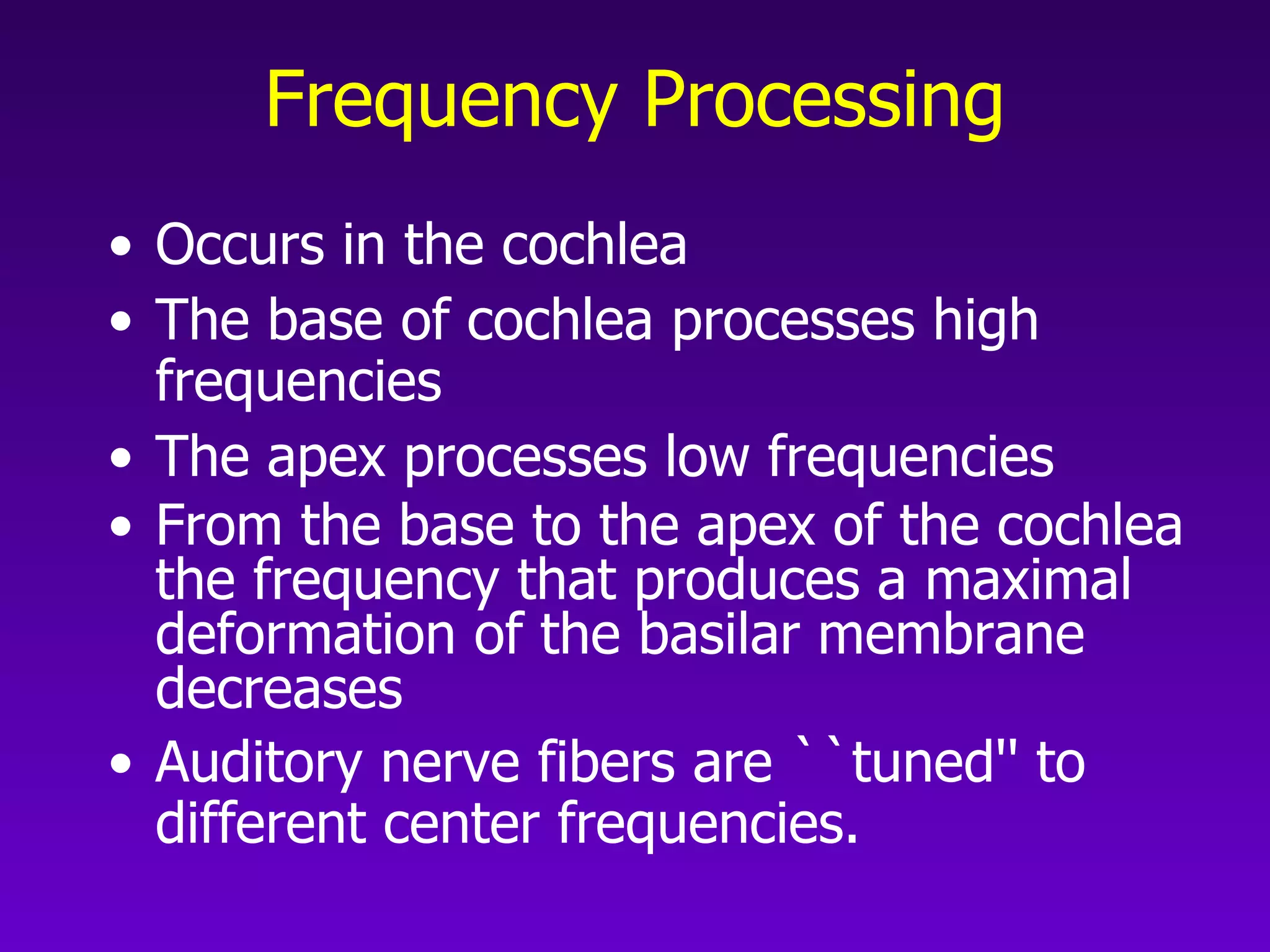 Auditory System | PPT