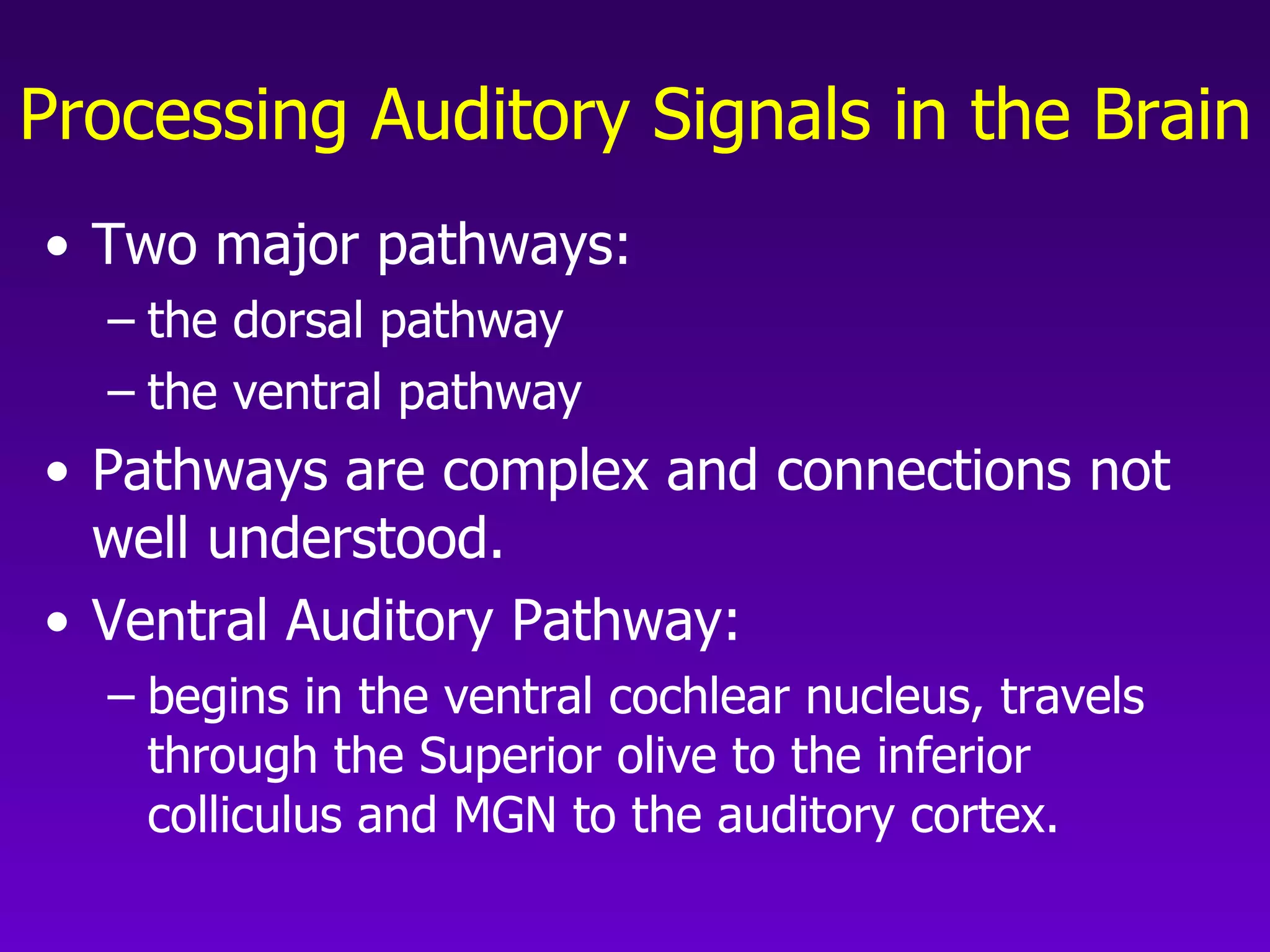 Auditory System | PPT
