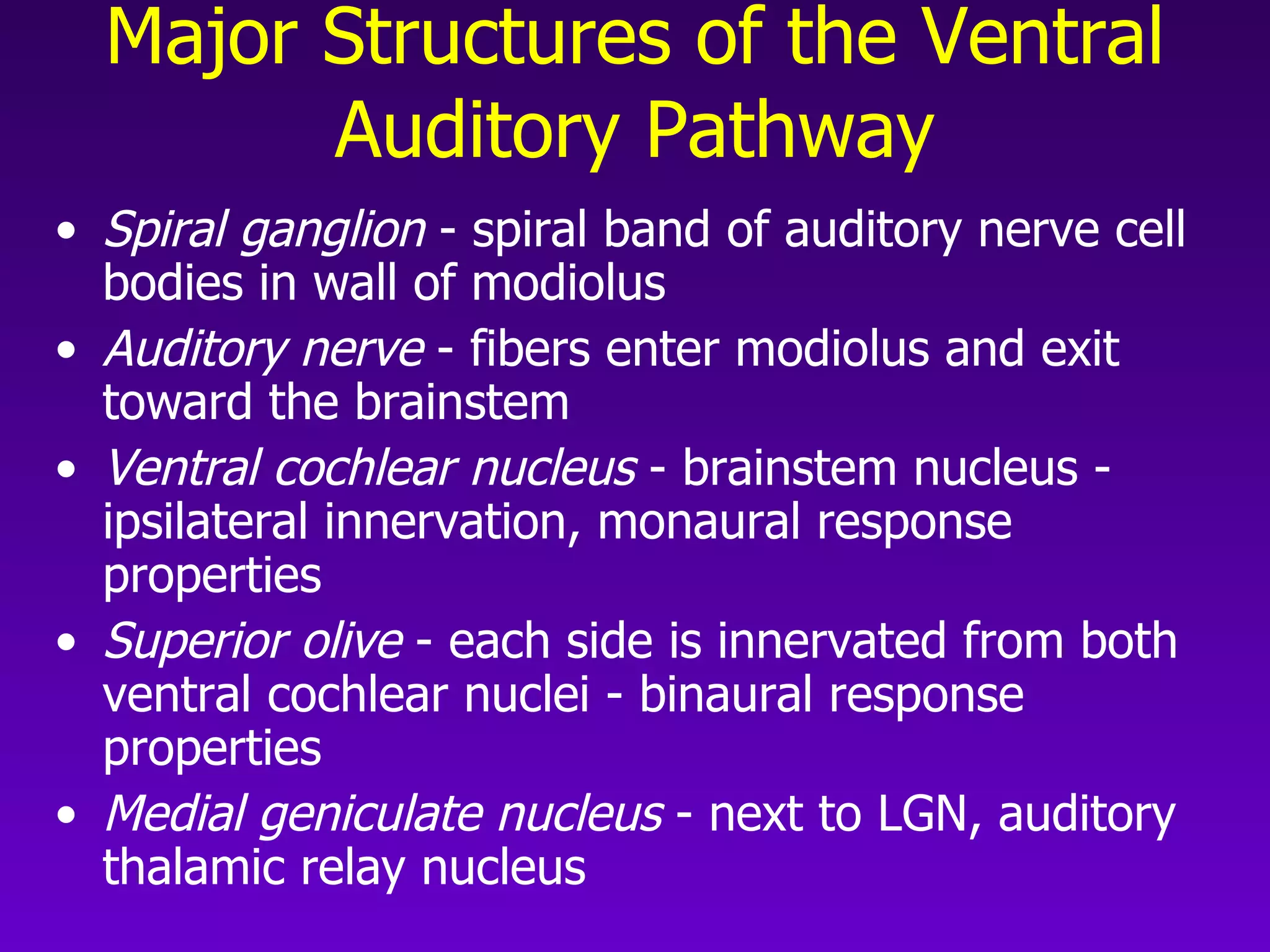 Auditory System | PPT