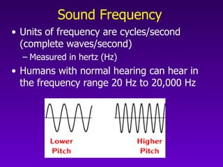 Auditory System | PPT