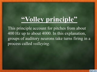 Auditory system psychology | PPTX