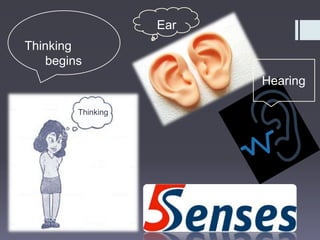 Human Ear and Psychology | PPTX | Digital Audio | Computer Software and ...