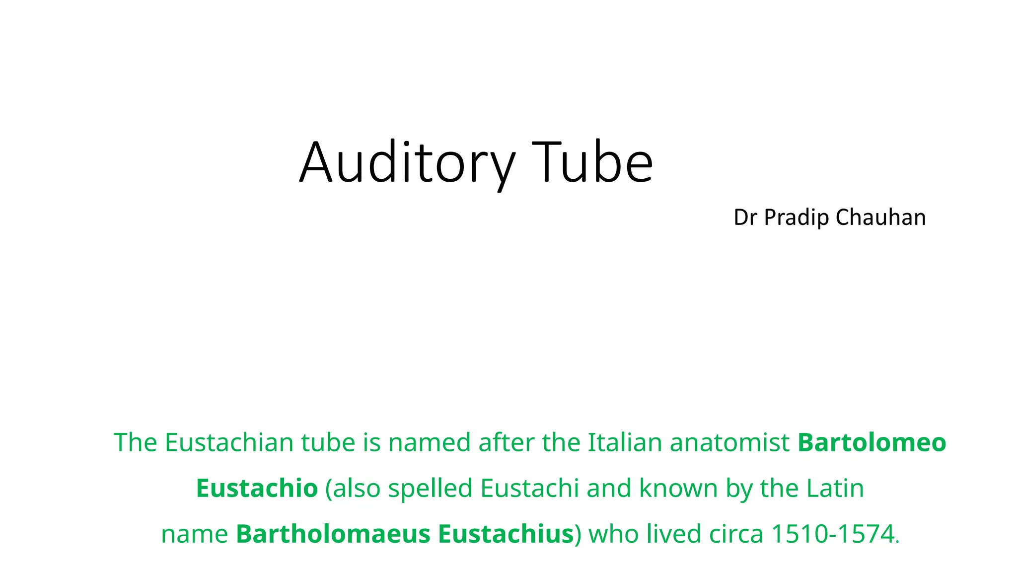 Auditory tube AEAR, anatomy, human,,,,,,,,, | PPTX