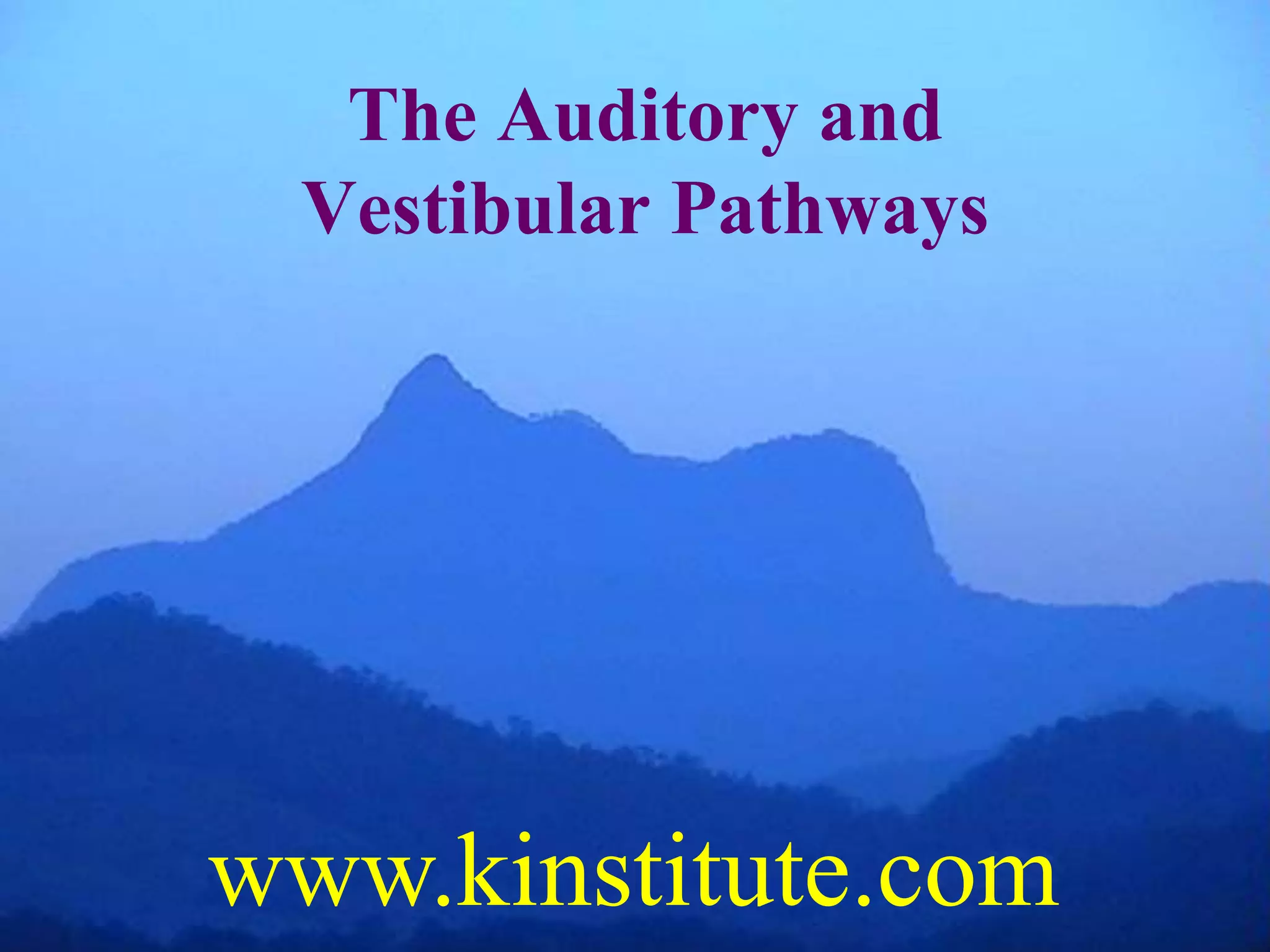 The Auditory and Vestibular Pathways | PPT