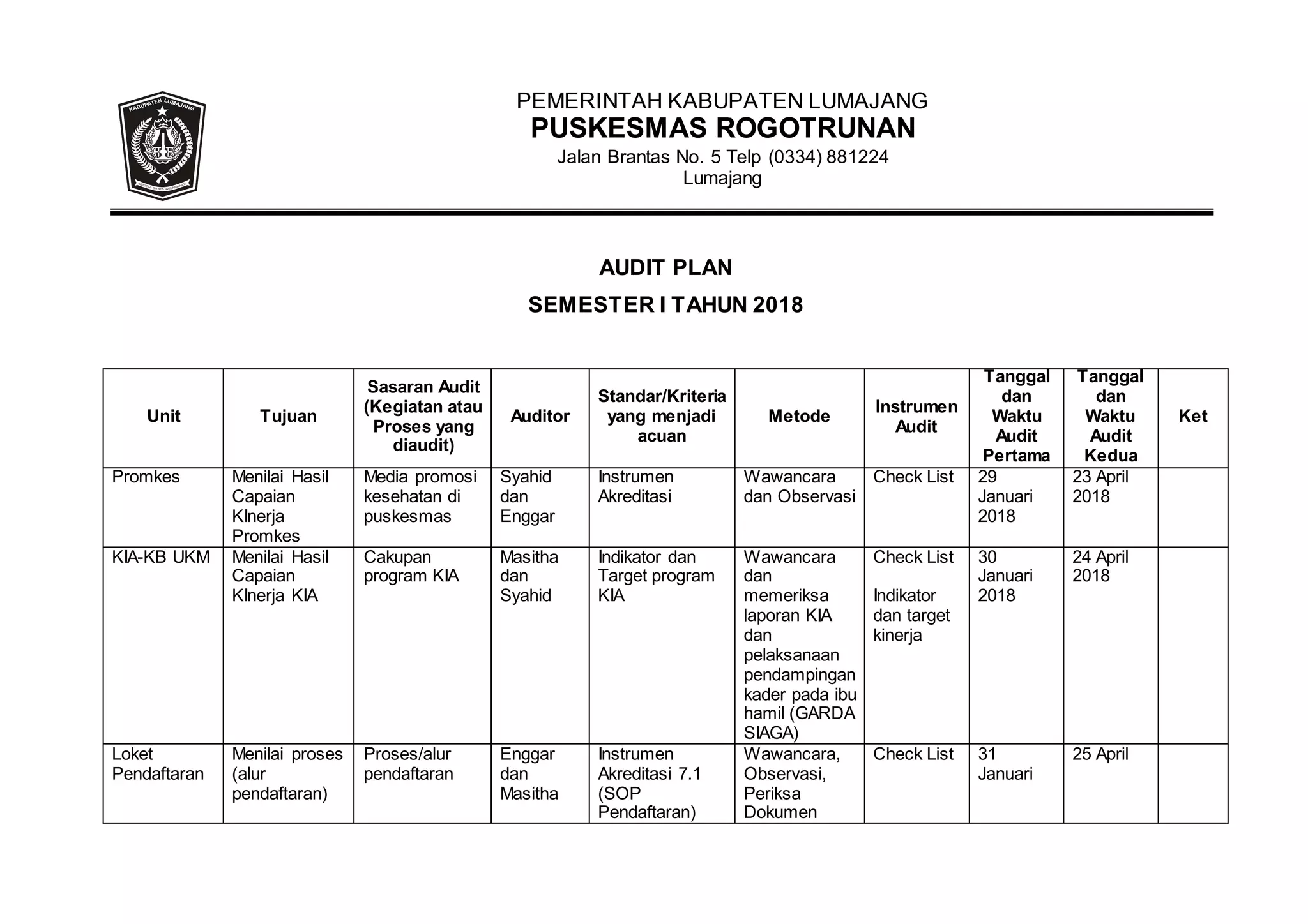 Audit plan | DOCX