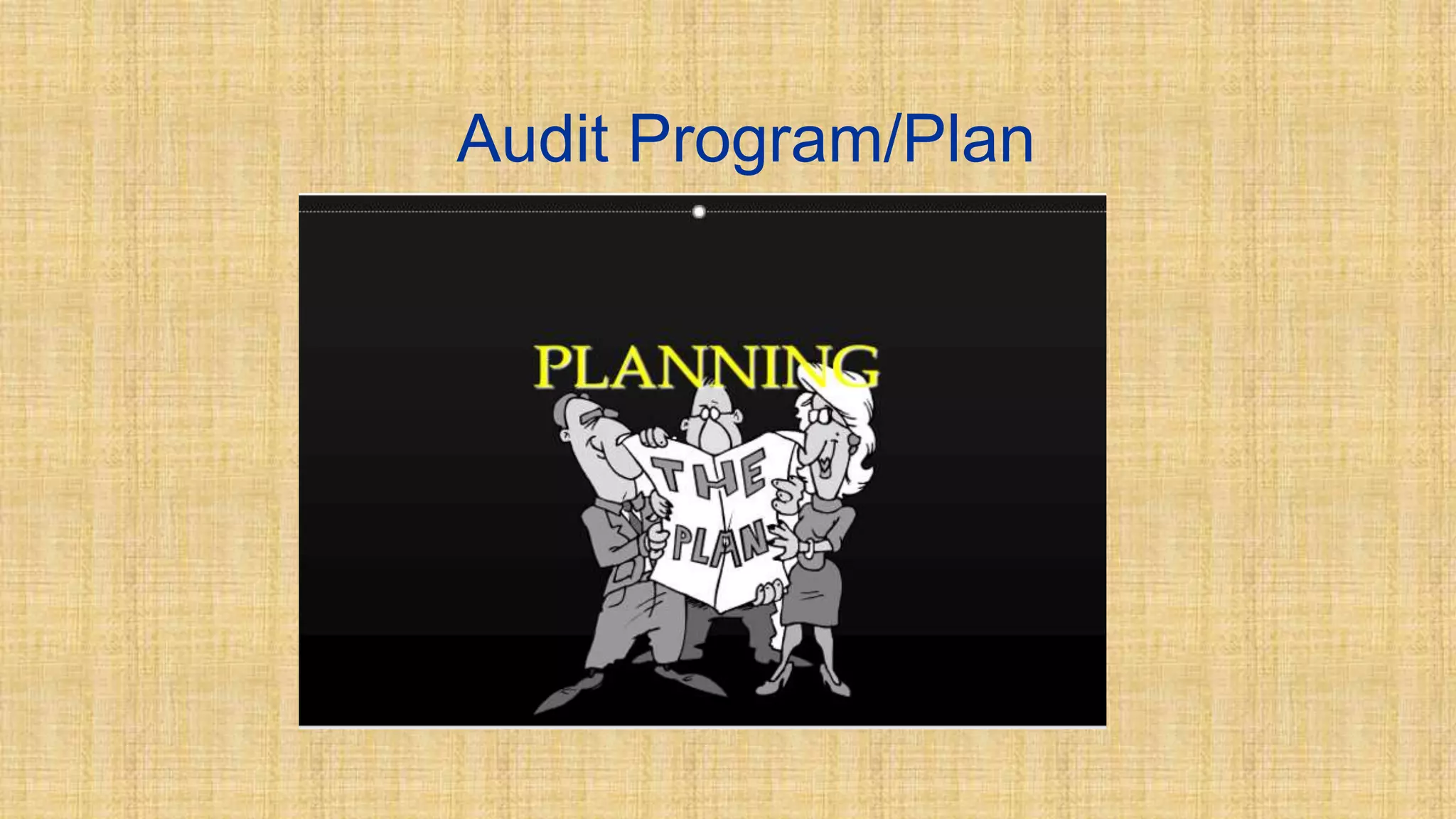 Audit Planing.pptx