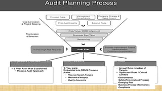 Audit Planing.pptx