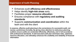 Audit Planning of the the business .pptx