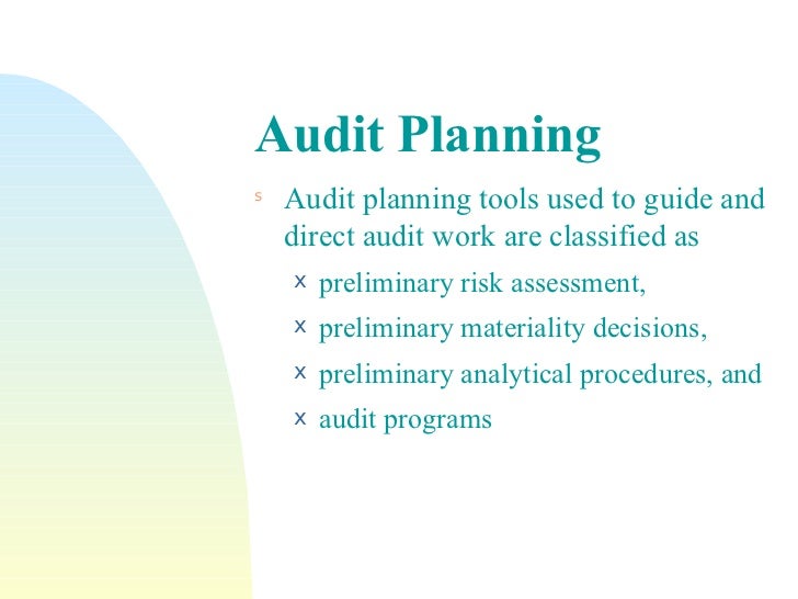 Audit planning and risk assessment