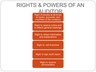 Company Auditor ppt | PPTX