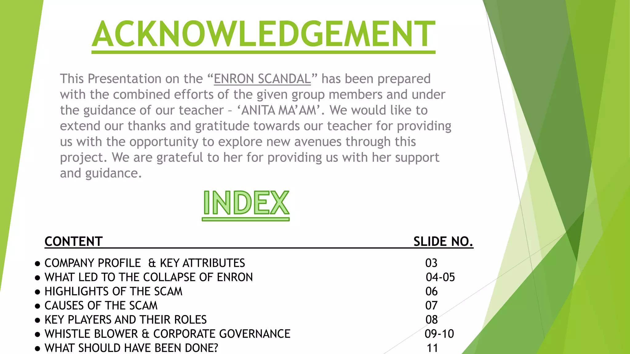 Audit ppt (enron) | PPTX