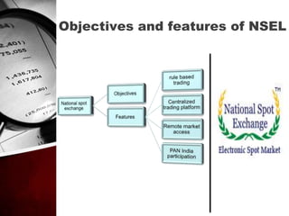 THE NSEL scam | PPT