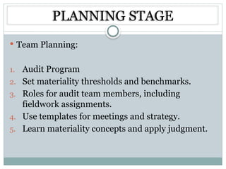 Audit Process Power Point Presentation PPt | PPTX
