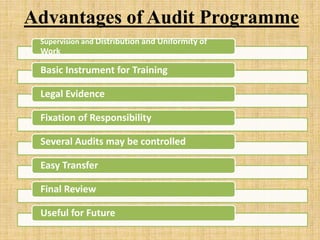 Audit Programme: Concept, Types, Functions, Advantages & Disadvantages | PPTX
