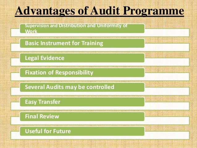 Audit Programme: Concept, Types, Functions, Advantages & Disadvantages Audit Programme: Concept, Types, Functions, Advantages & Disadvantages