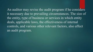 AUDIT PROGRAMME - PPT.pptx