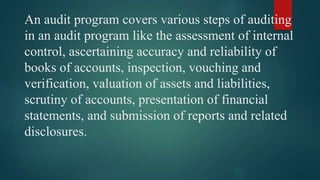 AUDIT PROGRAMME - PPT.pptx