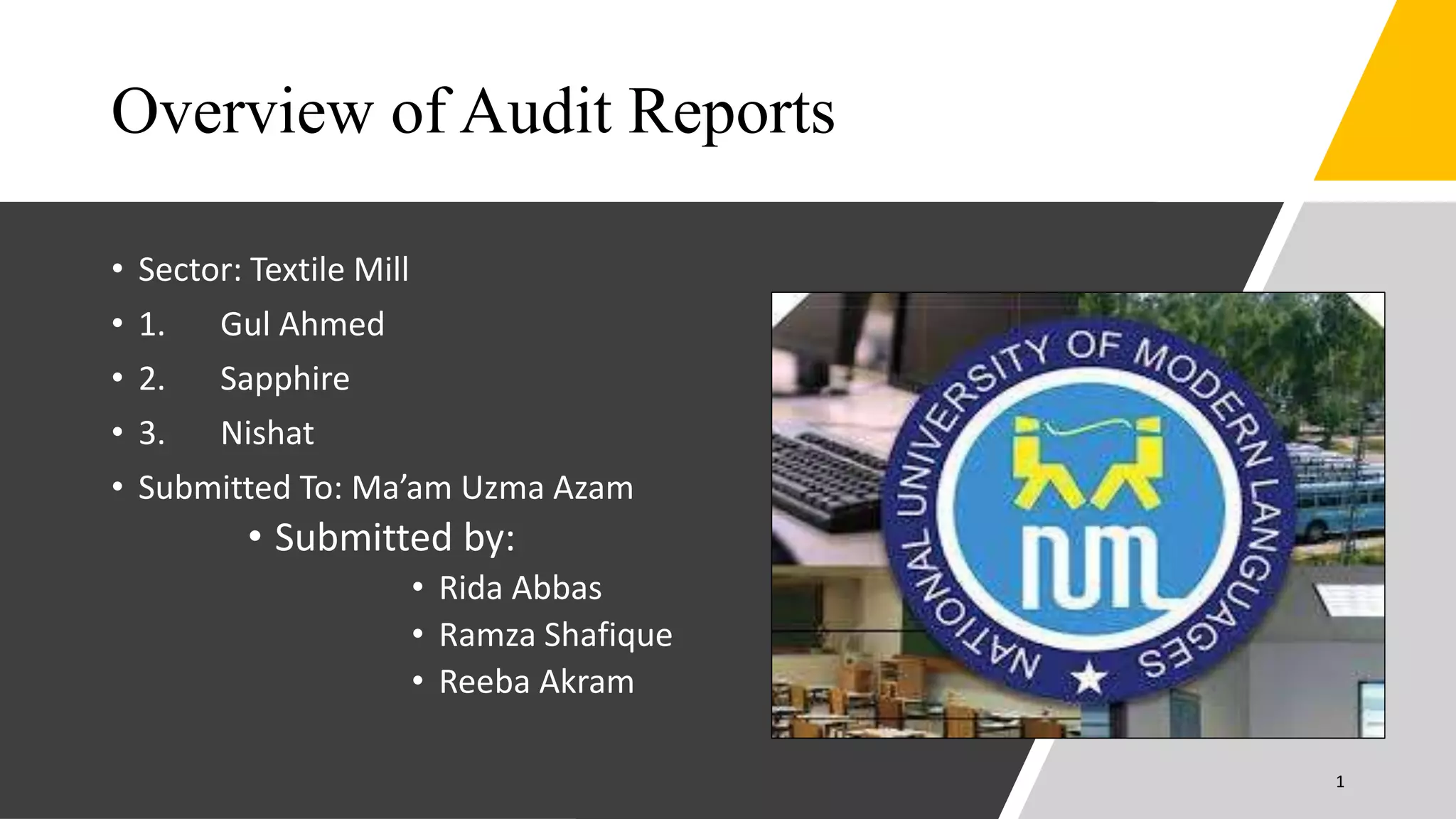 Audit Project Presentations .pptx