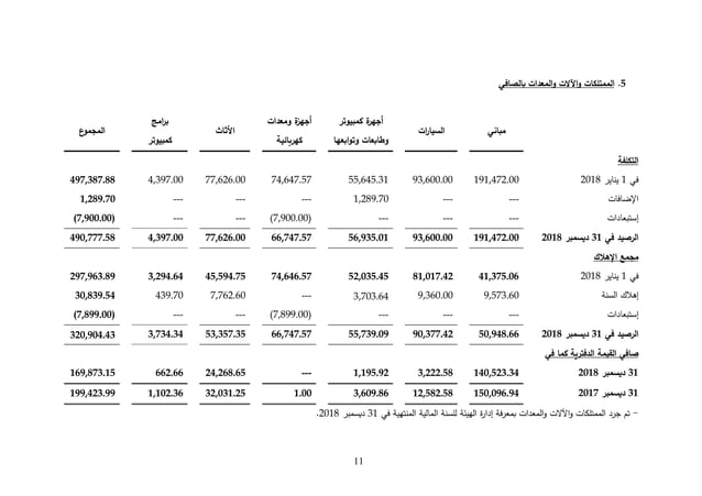 Audit report 2018 Arabic | PDF