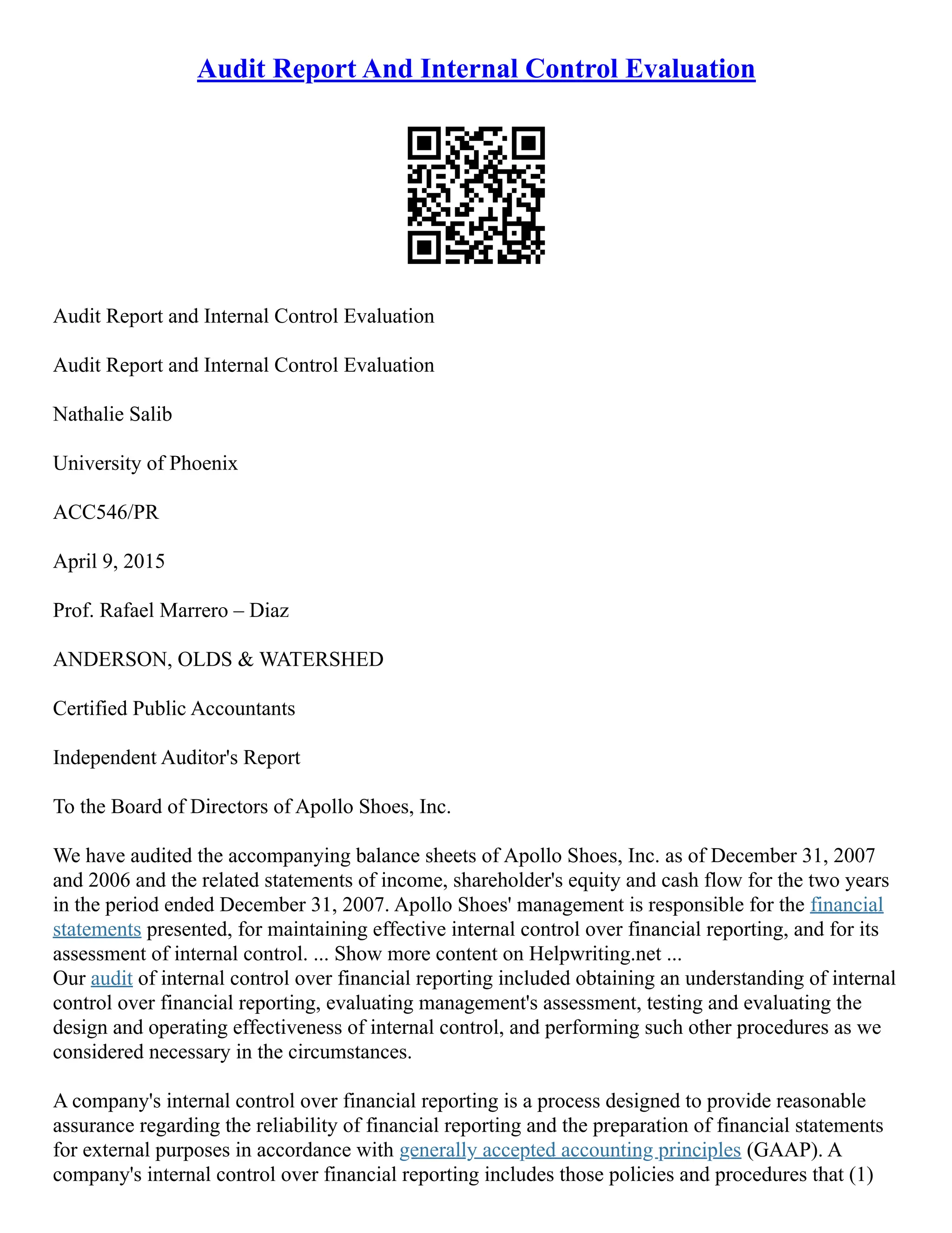 Audit Report And Internal Control Evaluation | PDF