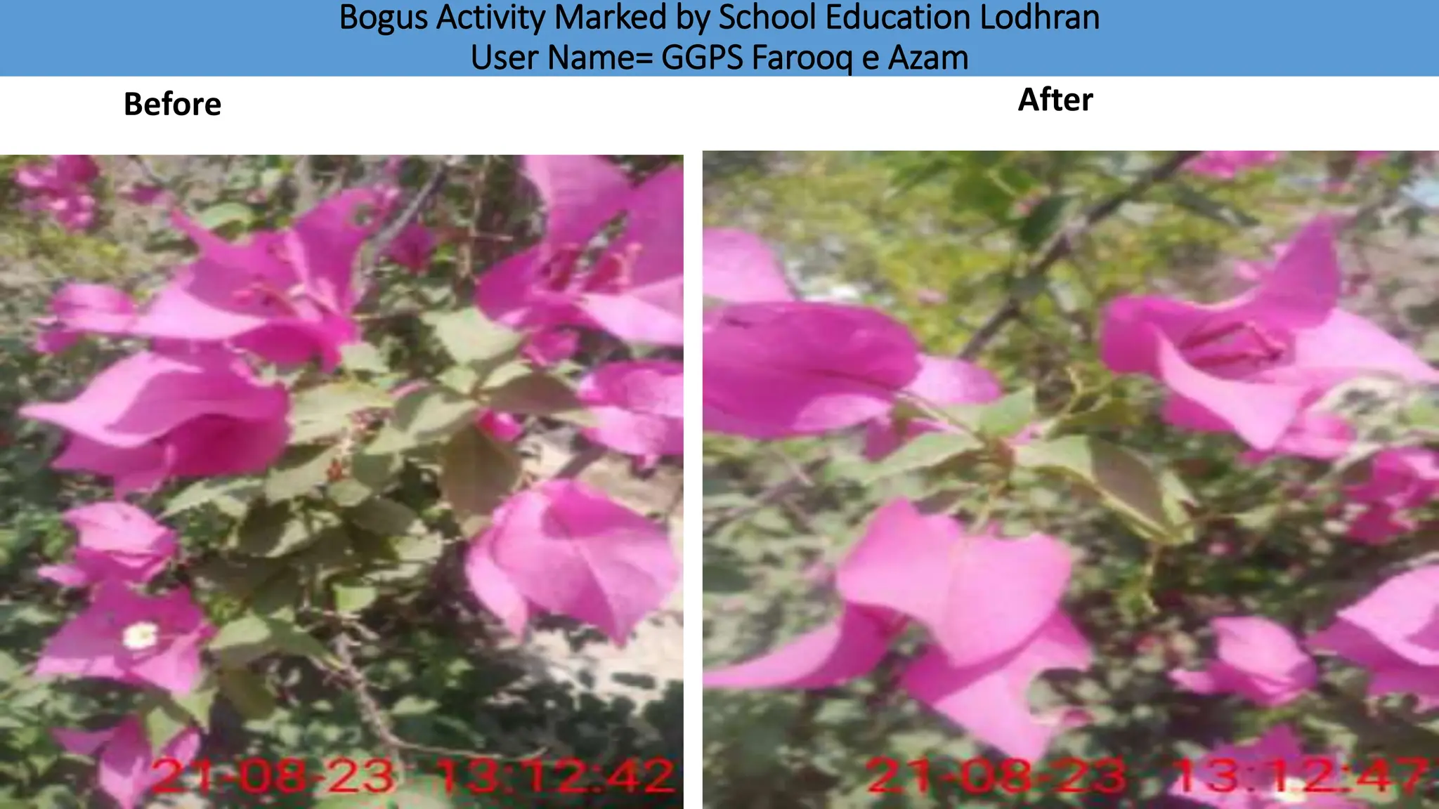 Audit Report android activity Updated School education.pptx