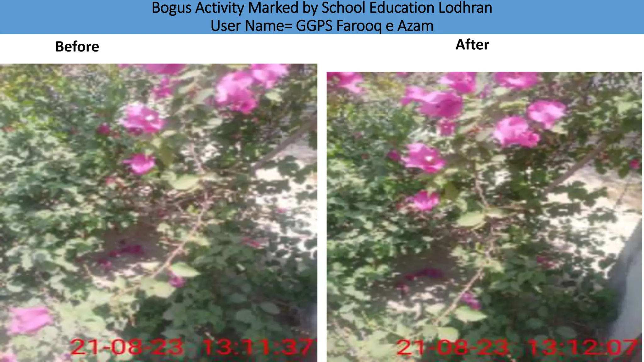 Audit Report android activity Updated School education.pptx