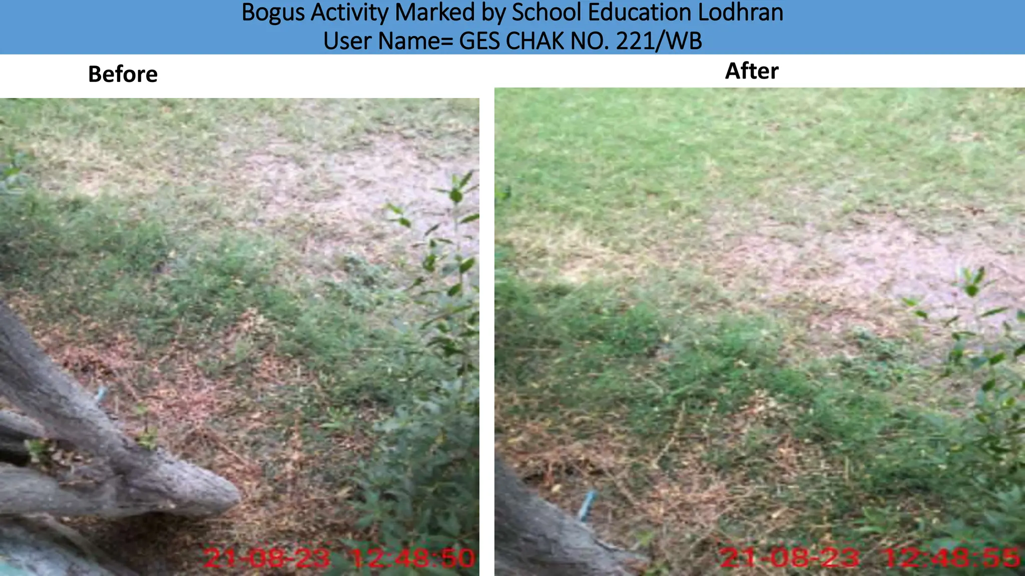 Audit Report android activity Updated School education.pptx