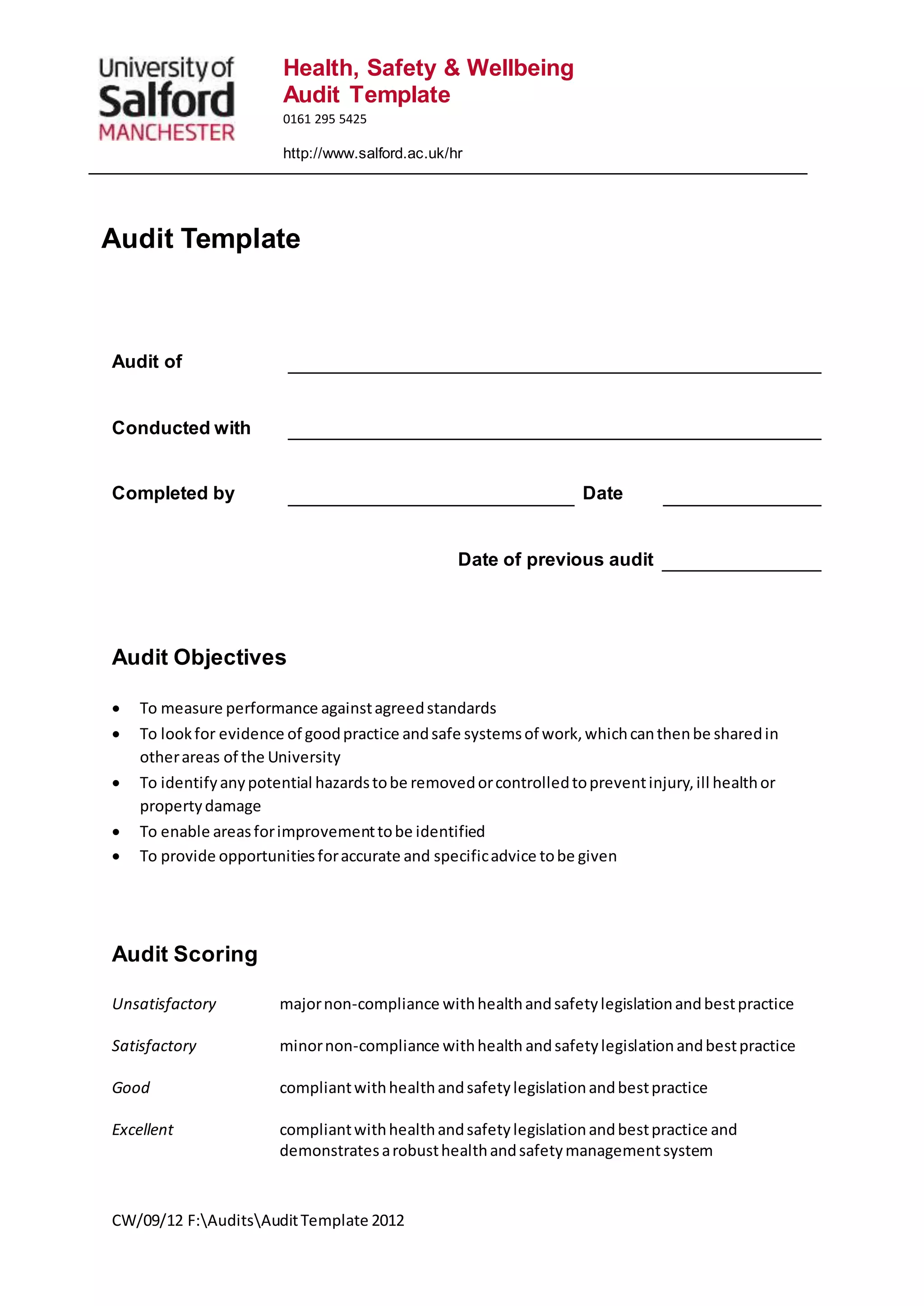 audit report template 11.docx