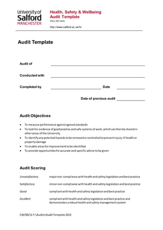 audit report template 11.docx