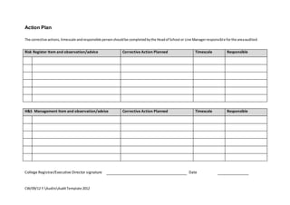 audit report template 11.docx