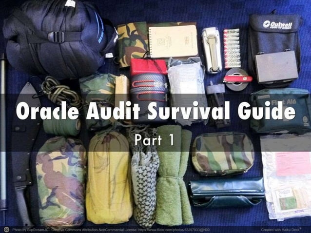Oracle Audit Survival Guide | PPTX