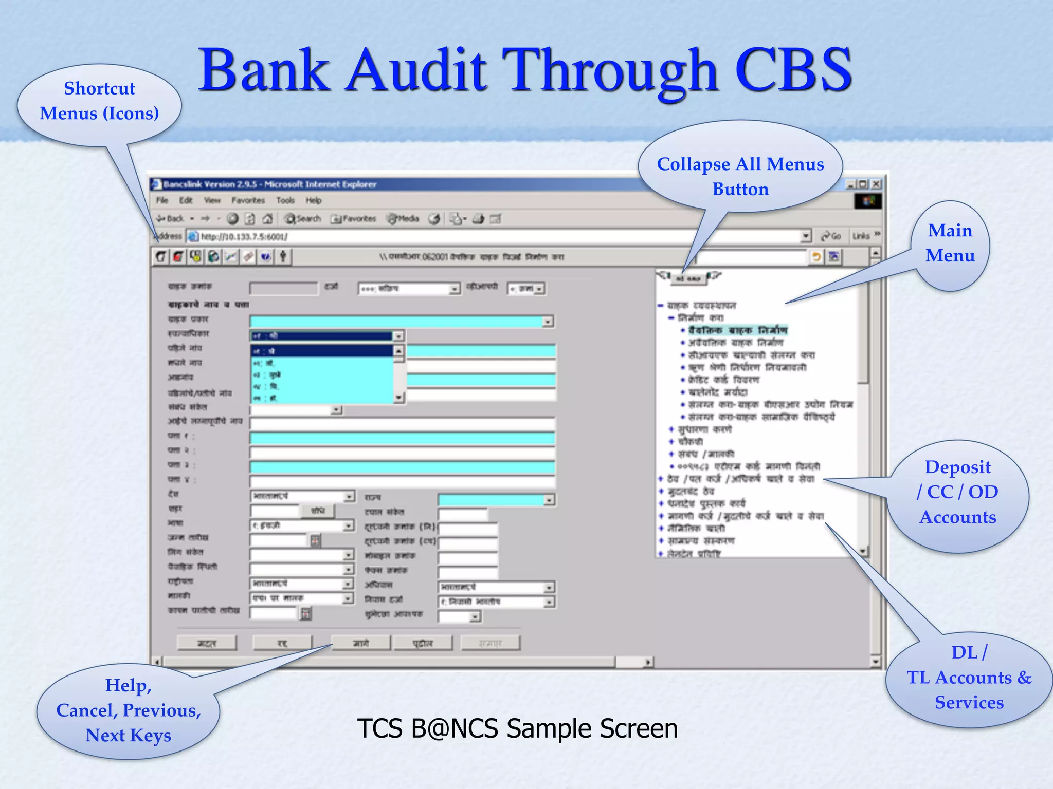 Audit through core banking solution | PDF