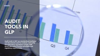 Audit tools in good regulatory practice.pdf