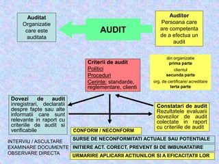 Auditul intern.ppt