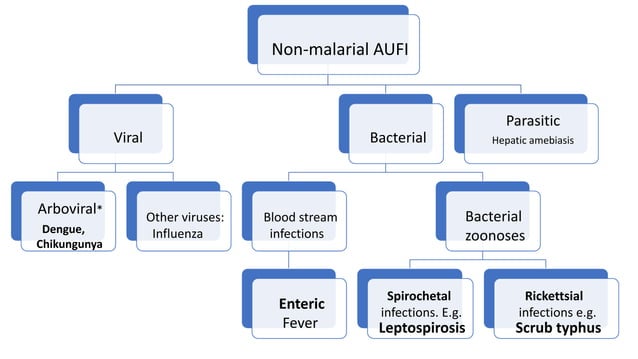 AUFI IMA infectious diseases............. | PPT