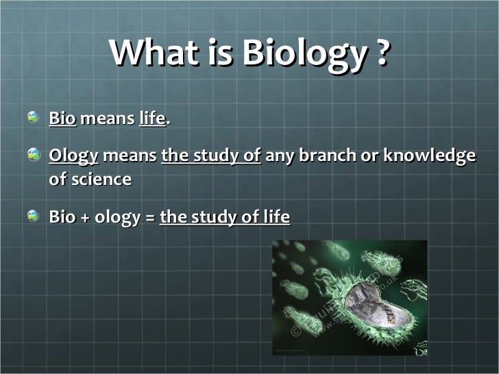 What is biology - lmkaero