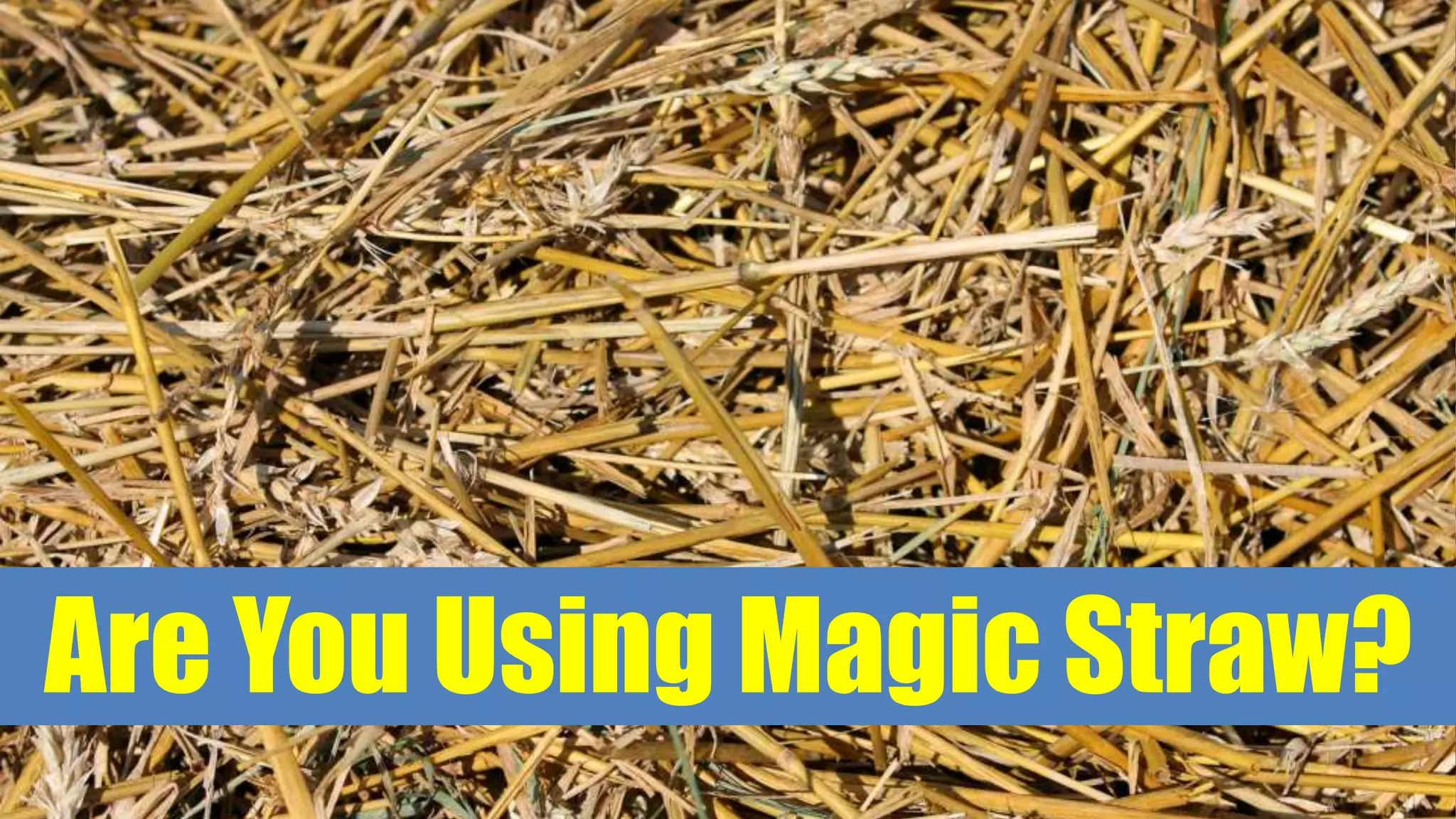 Avoid Magical Thinking | PPTX