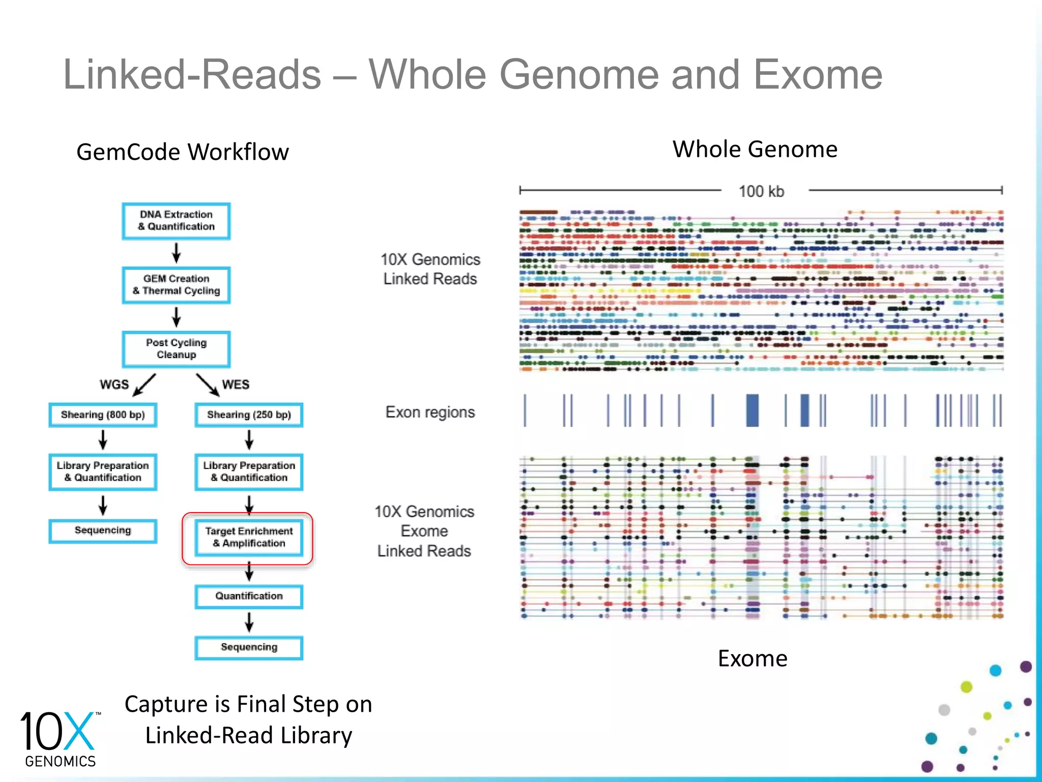 Aug2015 analysis team 04 10x genomics | PPTX
