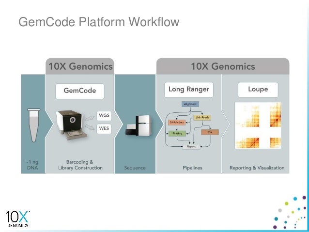 Aug2015 analysis team 04 10x genomics