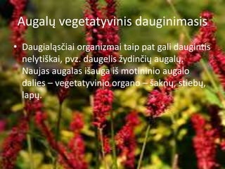 Augalų dauginimasis. Biologija | PPTX