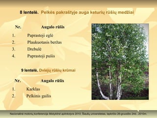 Augalu ivairove sepetos pelkeje4 | PPT