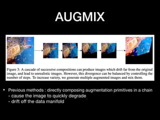 Augmix review [cdm] | PDF