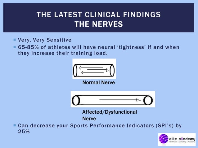Elite Touch Football - Decrease Injury and Increase Performance (A ...