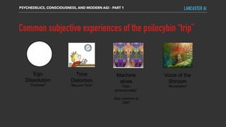 Psychedelics, Consciousness and the Modern Search for AGI - Pt 1 | PDF