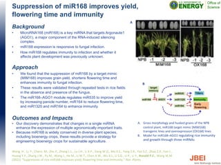 August 2021 - JBEI Research Highlights | PPT