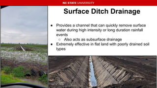 August 31 - 1139 - Mitchell Watkins | PPT