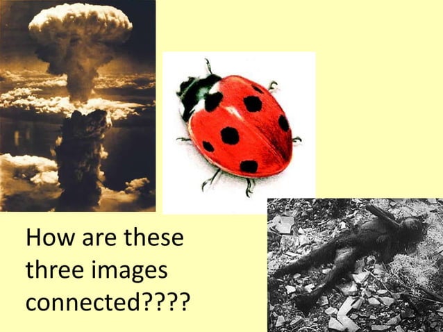 August 6 1945_and_theme_intro[1] | PPT