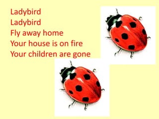 August 6 1945_and_theme_intro[1] | PPT