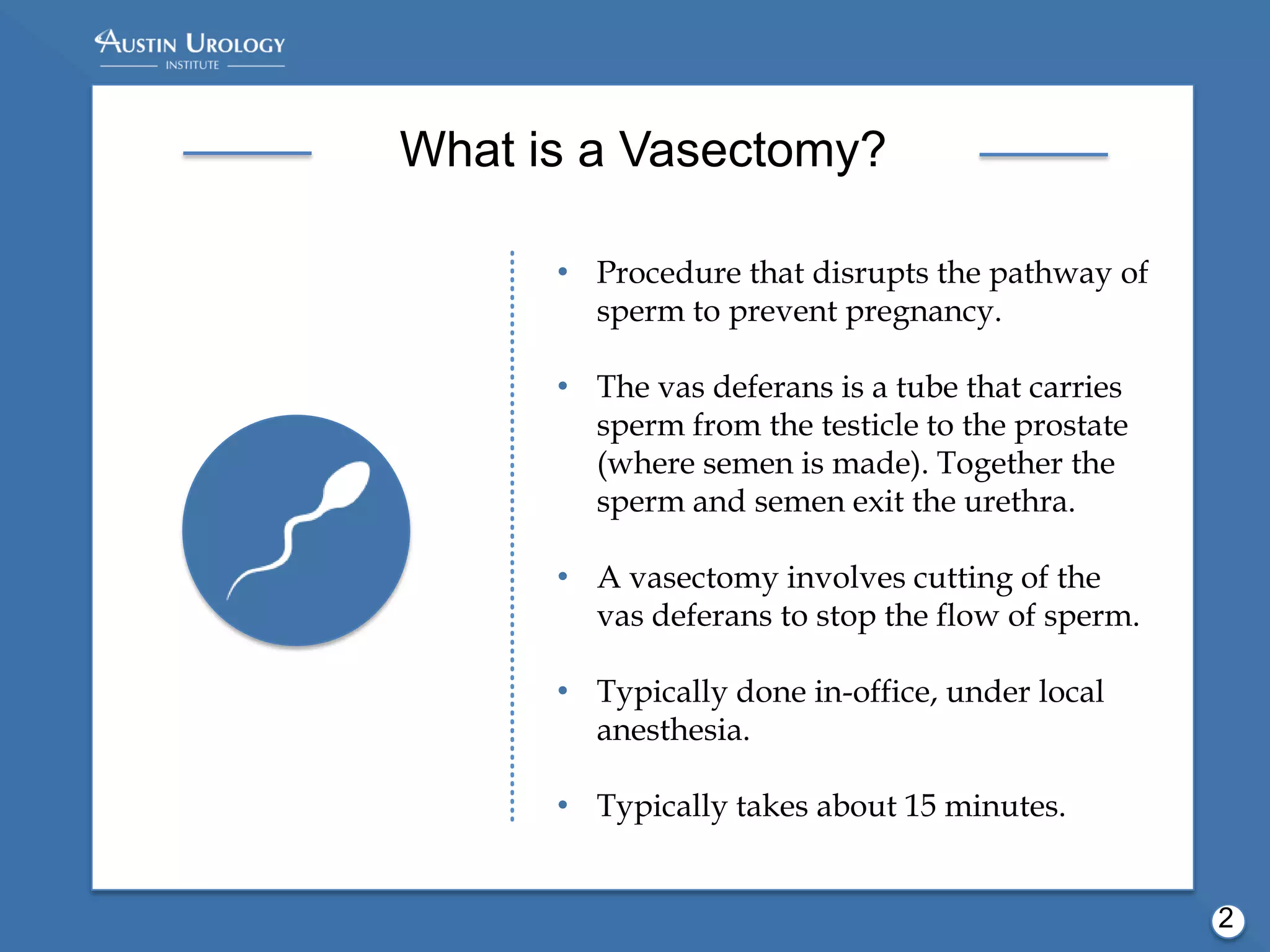 Vasectomies: What You Need to Know | PDF