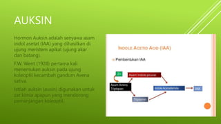 Peran Auksin dan Sitokinin dalam Pertumbuhan dan Perkembangan Tumbuhan ...